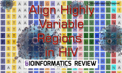 How to perform docking in a specific binding site using AutoDock Vina ...